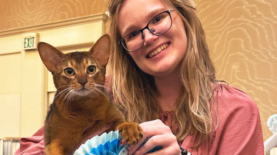 Congrats to Rilian and Payton! – Abyssinian Cats of Grape Arbor